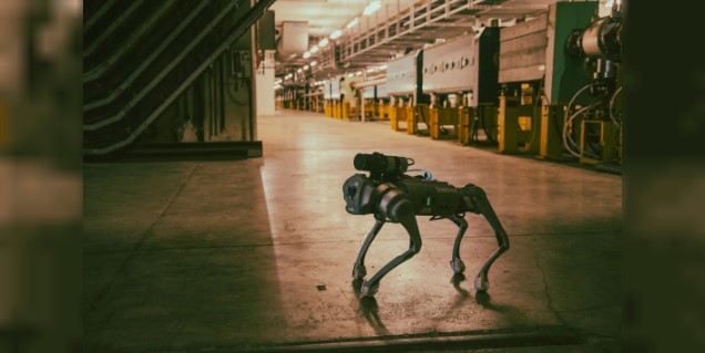 Robodog, el perro nuclear • Diario Núcleo