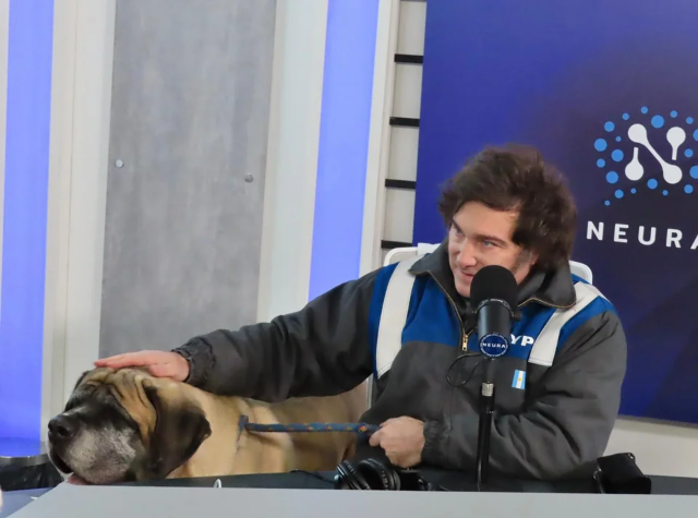 Milei sigue su implacable embestida judicial • Diario Núcleo