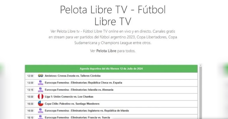 Qué es pelota libre, el sitio que reemplaza a futbol libre • Diario Núcleo