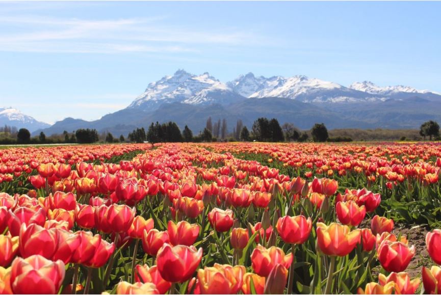 Cuáles son los mejores tres pueblos de Argentina • Diario Núcleo